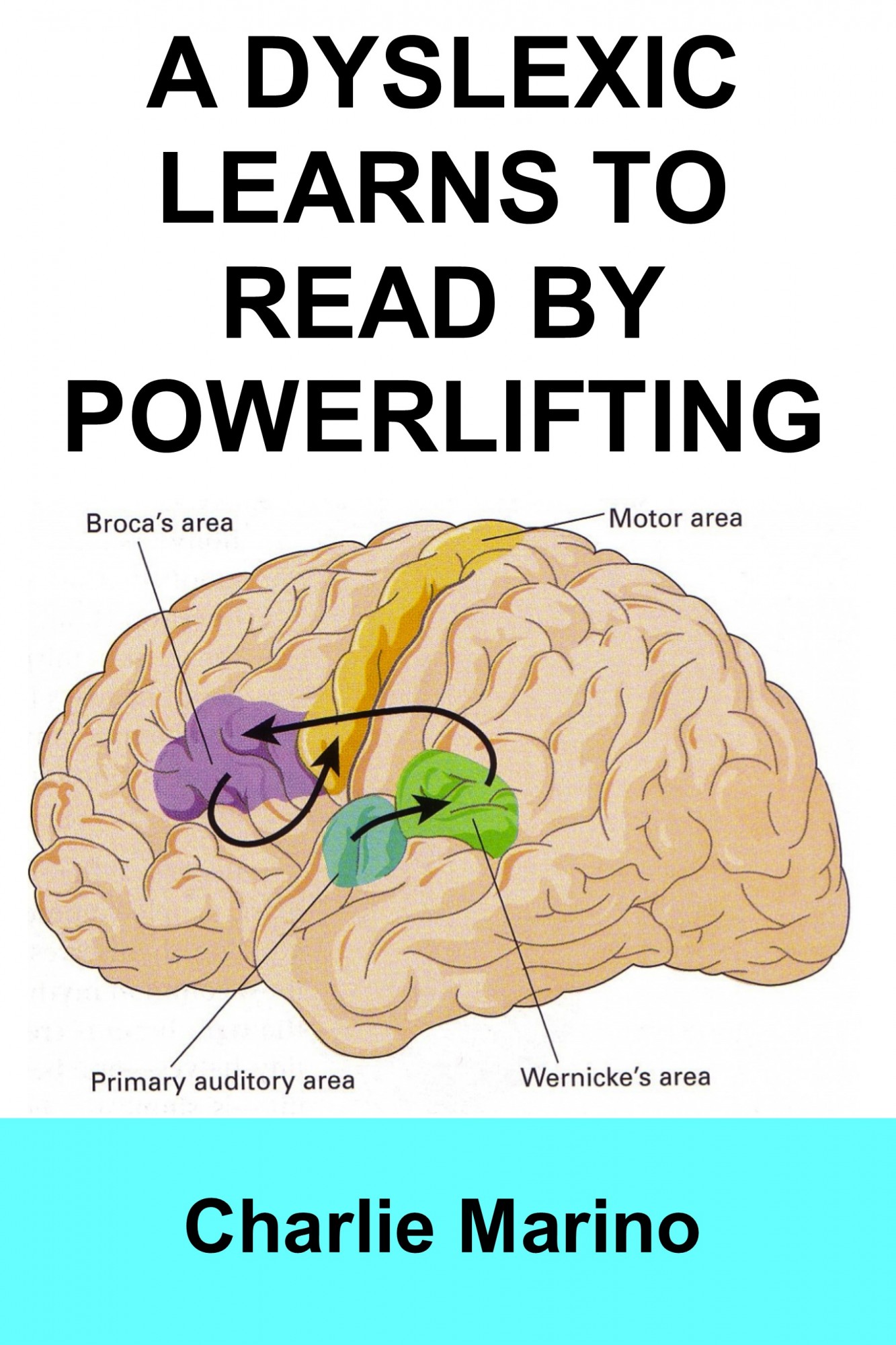 A Dyslexic Learns To Read By Powerlifting | Columbia Alumni Association